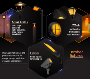 Amber Lighting Solutions